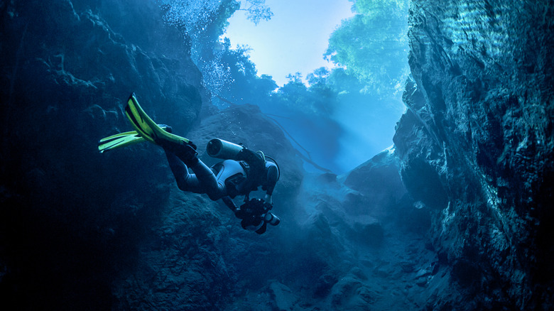 Crucial things you need to know before scuba diving in one of Mexico's ...