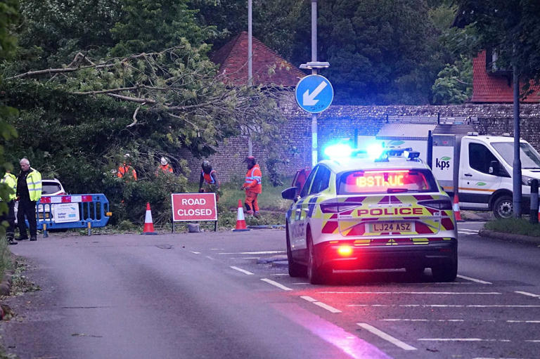 Road closes in Eastbourne after tree falls on car