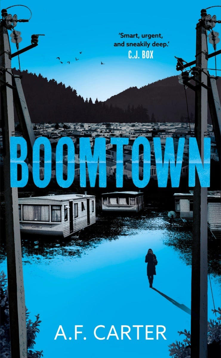 ‘I read this book in one sitting’: 6 gripping crime thrillers to devour ...