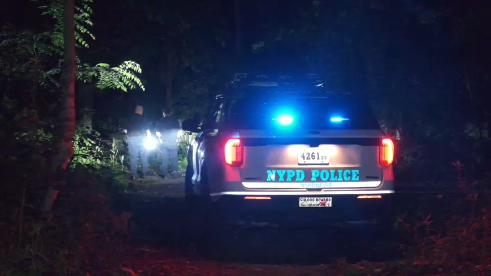 85-year-old man killed by falling tree in Queens during storms