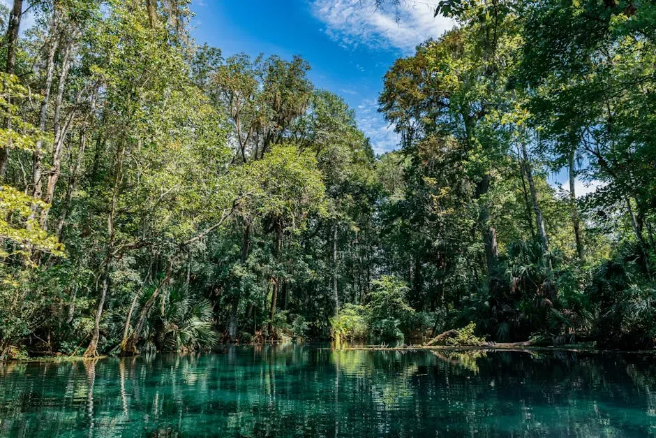 8 affordable Florida cities where $1,500 a month can still go far