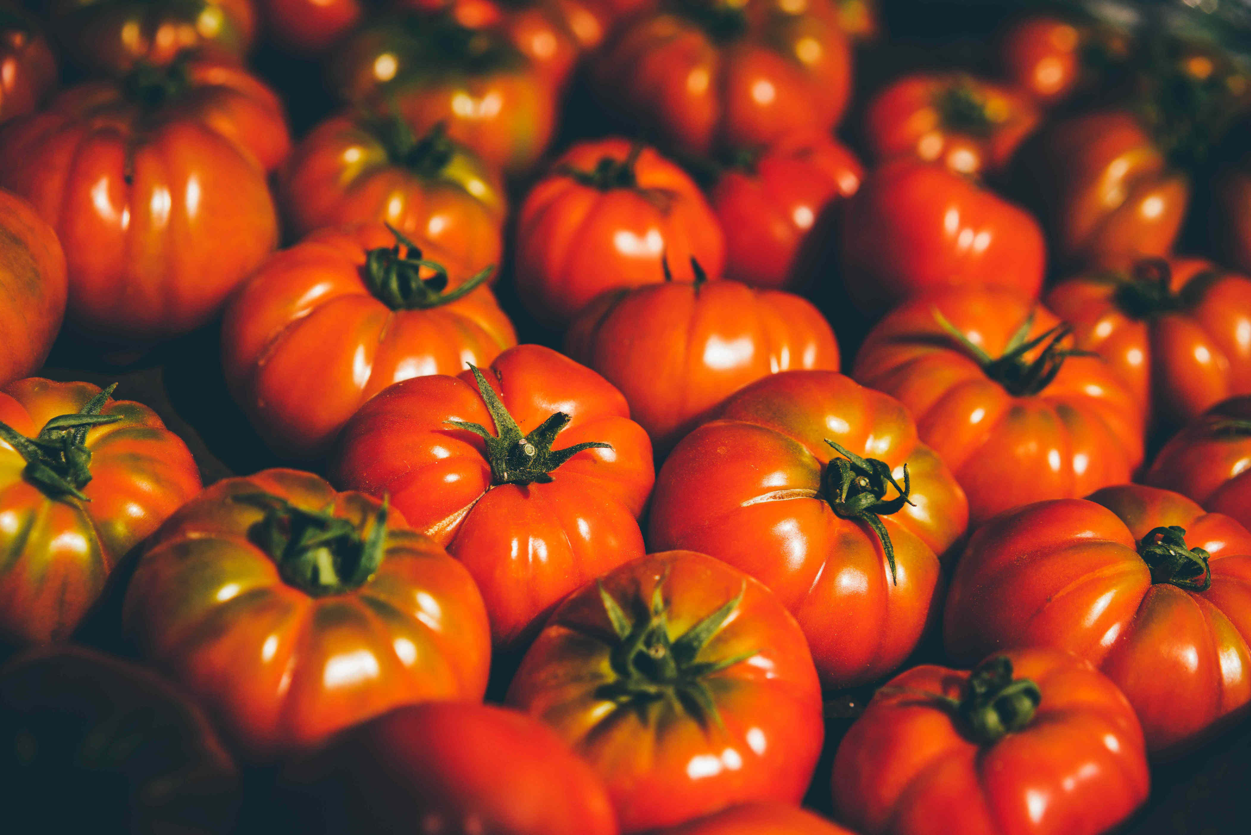 Here’s what happens when you eat tomatoes every day, according to ...