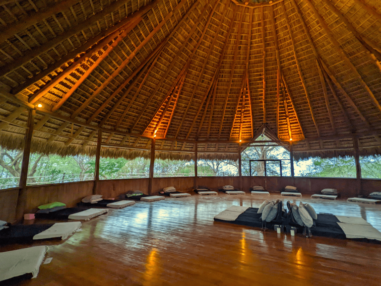 What it's really like to join an ayahuasca retreat alongside spiritual ...