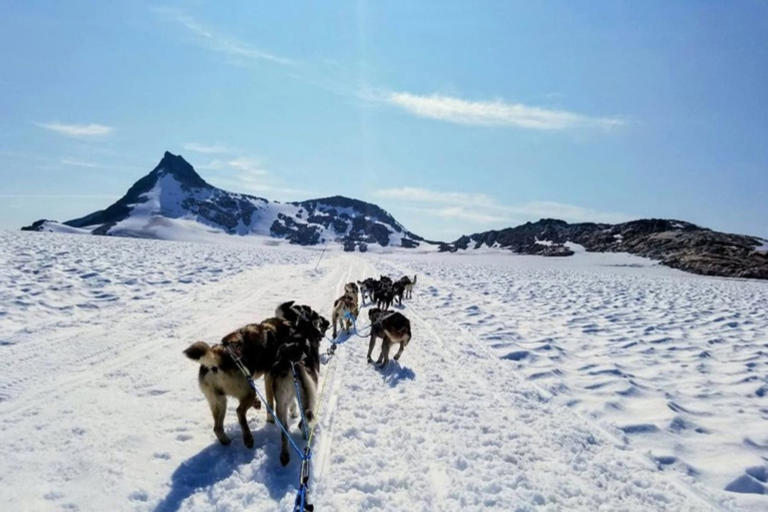 Into the blue: Glacier trekking and dog sledding on an Alaska cruise