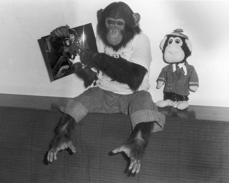 Where Michael Jackson’s monkey Bubbles is now years after singer's death