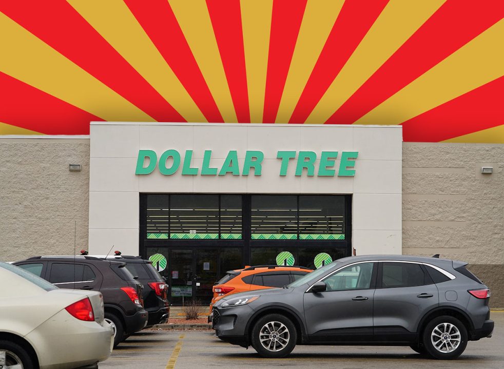 11 best new Dollar Tree organization finds under $5