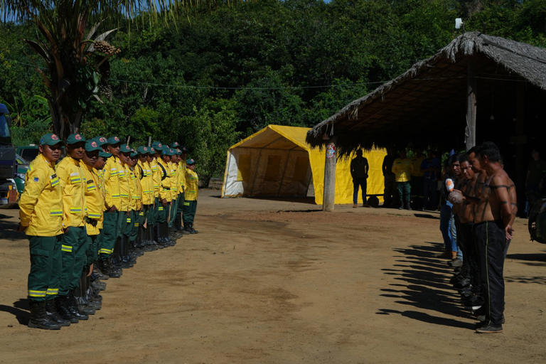 In Brazil’s Cerrado region, Indigenous fire practices reshape wildfire ...