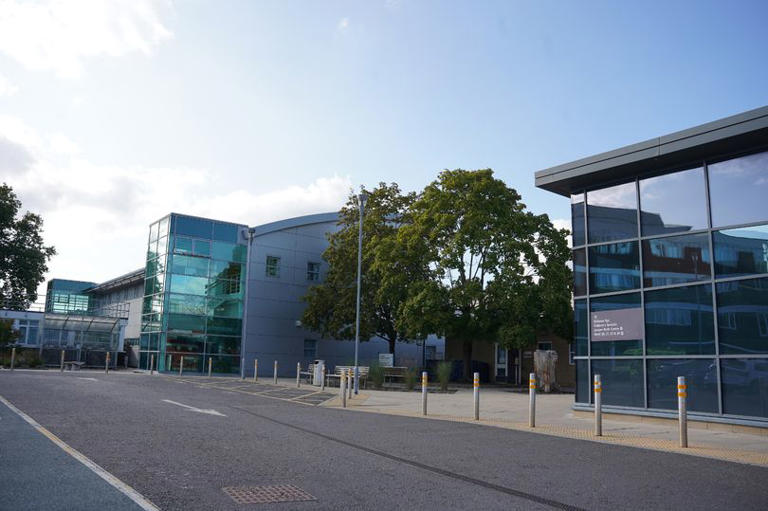 Nurse struck off after NHS roster fraud netted her nearly £20,000 in ...