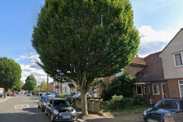 Street tree 'potentially implicated in house subsidence' could soon be ...
