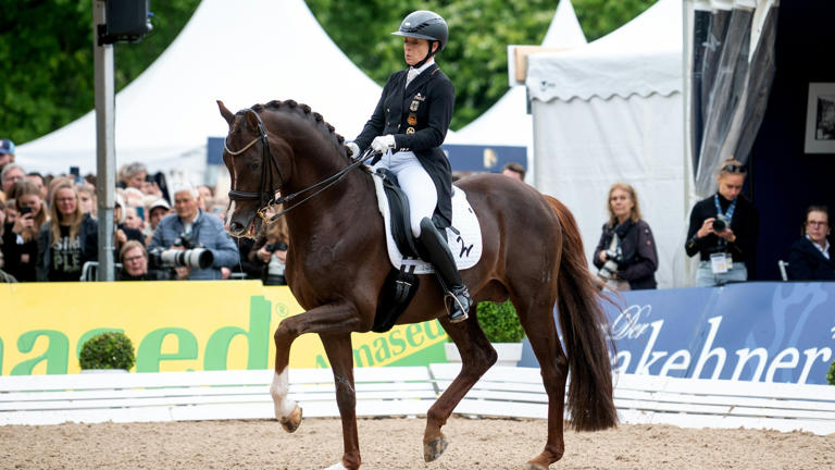 Reiten: DM Balve - Ikone Werth sichert sich 20. Meisterschaftstitel