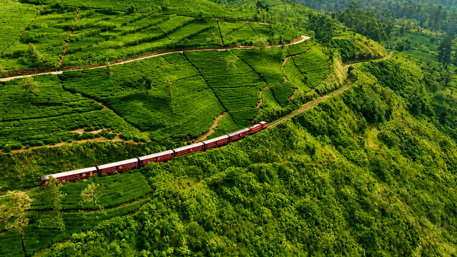 Why do travelers take this route instead of flying?