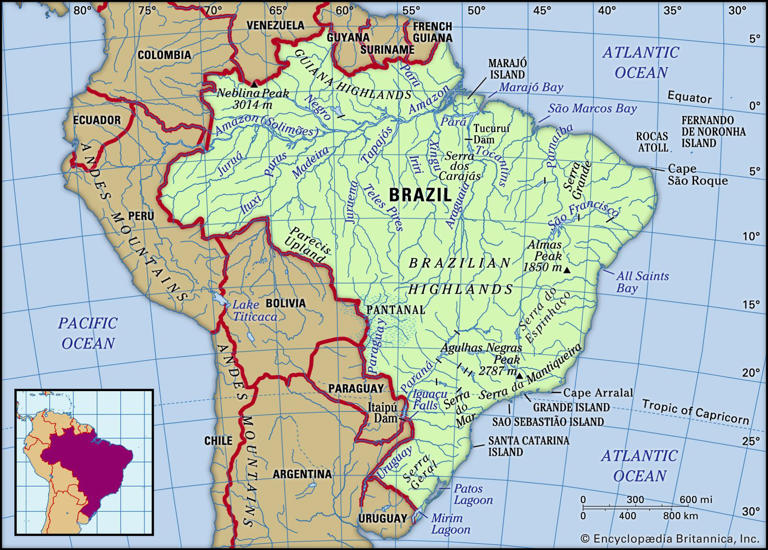 Which is the only country named after a tree?