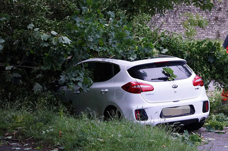 Road closes in Eastbourne after tree falls on car