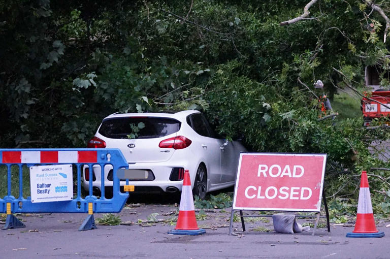 Road closes in Eastbourne after tree falls on car