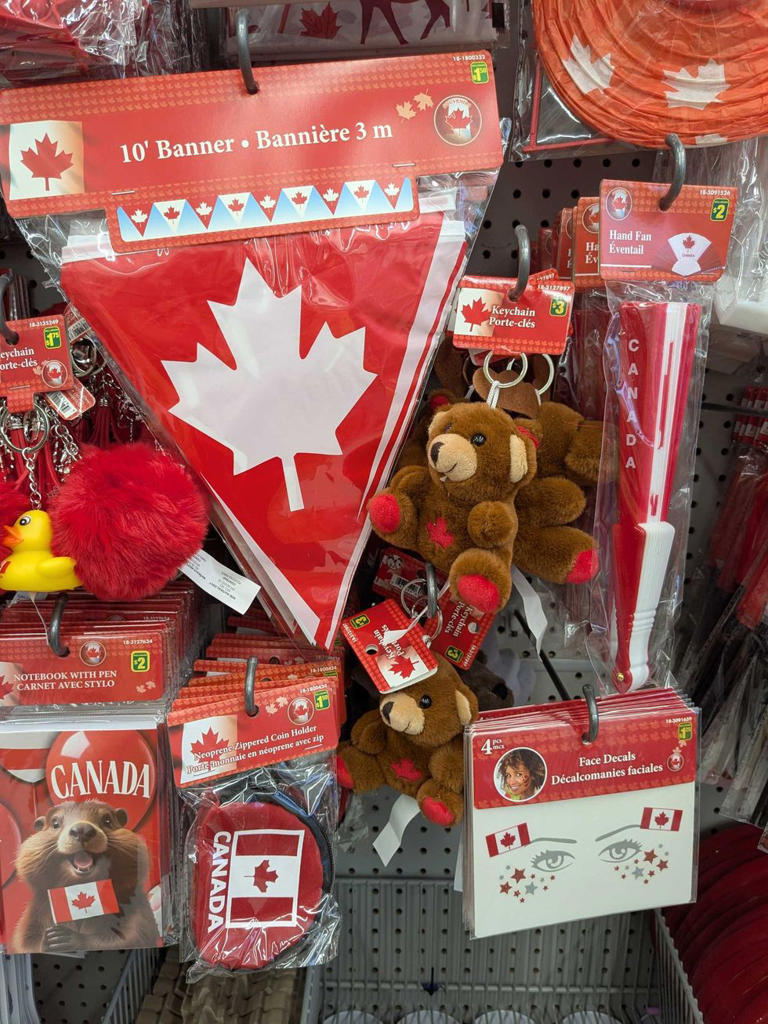 10 of the best Dollarama finds and new items that I discovered for June ...