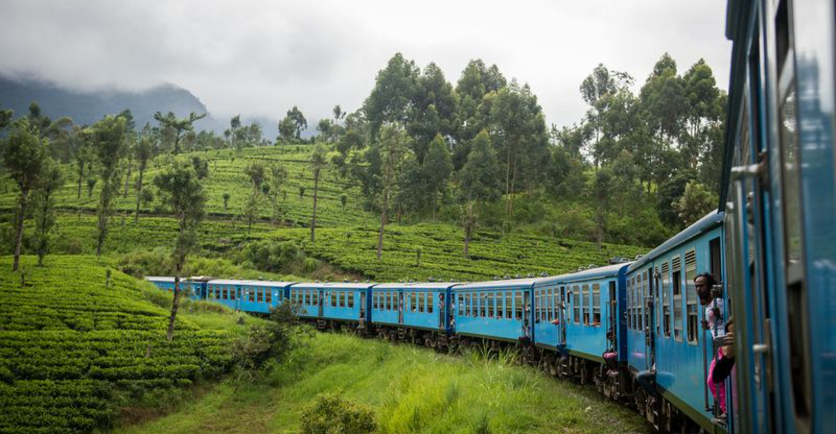 15 budget-friendly train journeys that deliver million-dollar scenery