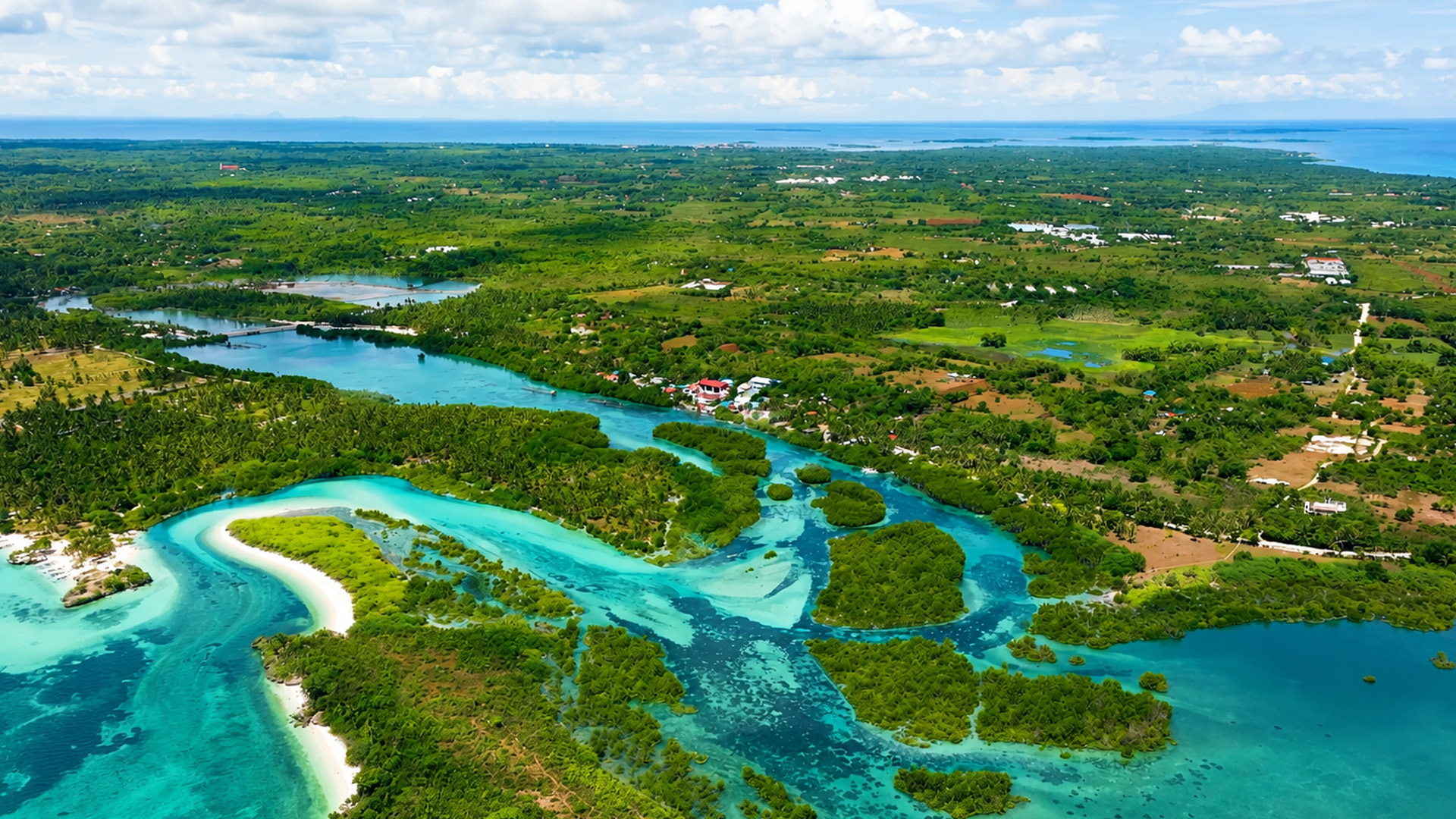 ¿Por qué esta costa parece un laberinto?