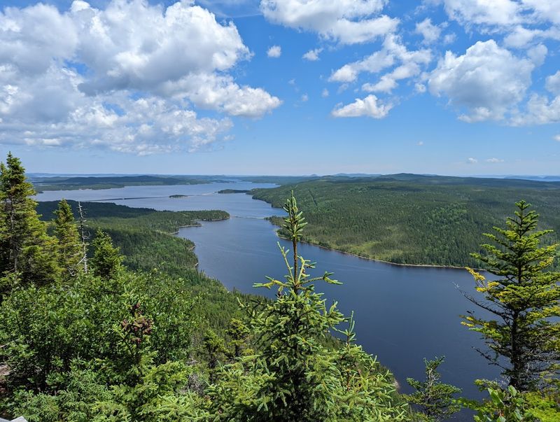 15 Canadian destinations where you’re more likely to see moose than crowds
