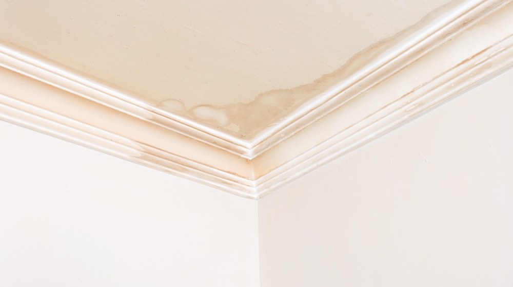 18 bad signs to look for when touring a rental (that landlords hope you ...