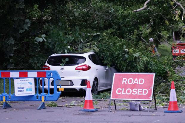 Tree falls on car amid strong winds