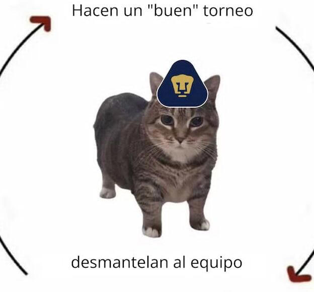 El sismo de 5.2 y los Pumas en los memes de la semana