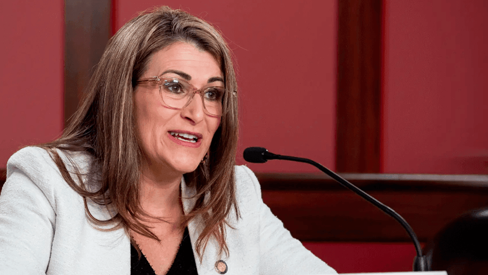Brown says Shapiro's voluntary data center standards fall short