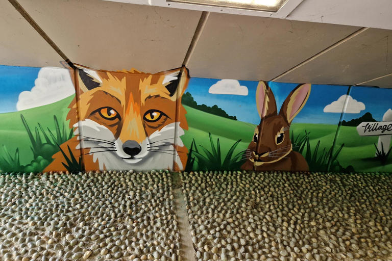 New mural to 'rejuvenate' Peterborough underpass takes shape