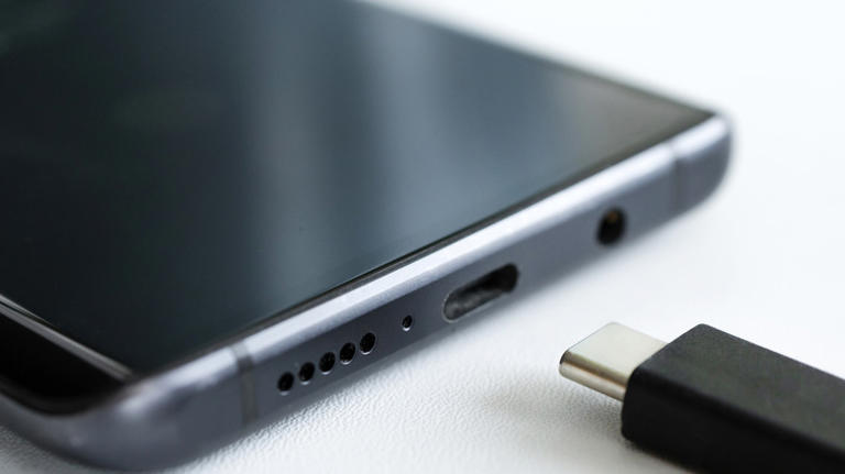 The average lifespan of a USB-C port is actually quite long, if you ...