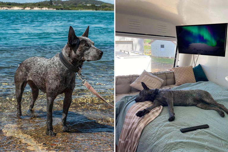 Traveller reveals the 'biggest problem' she finds at Aussie caravan ...