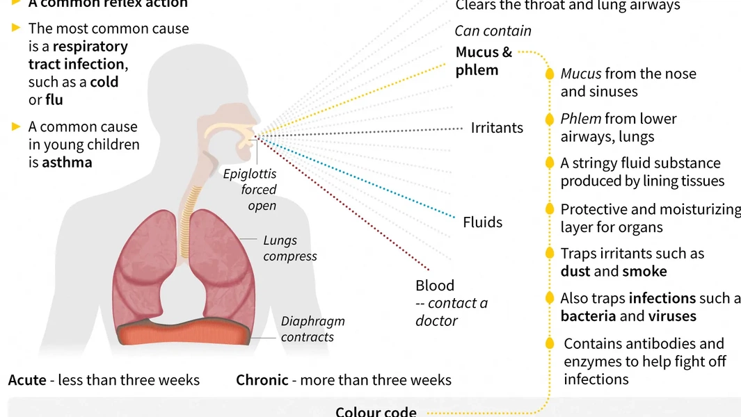 Cough that won’t quit and what to do