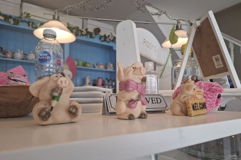 We visited the cafe with (probably) the biggest collection of pig ...