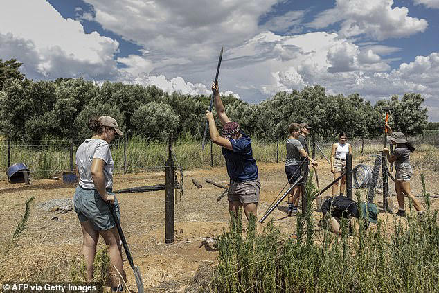 Inside South Africa's whites-only enclave where young people are flocking