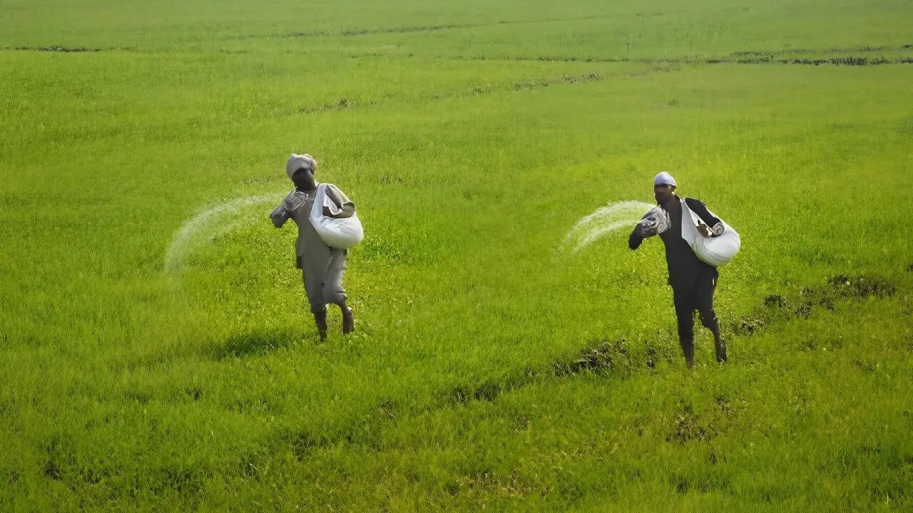 535 Rajasthan farmers die of pesticide exposure in 2 years