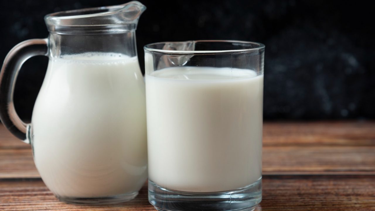 Leche: el alimento que nos cambió y aún no terminamos de entender