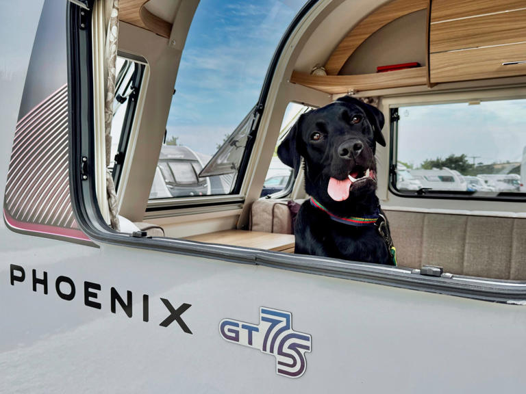 I toured the UK in a caravan with my dog – these are the best small towns