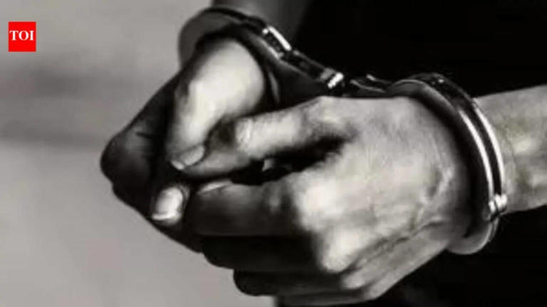 Assam woman arrested, son detained over beef tiffin incident in school