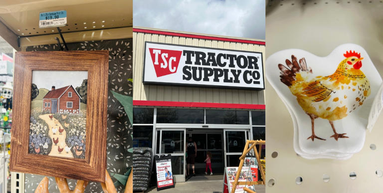 Tractor Supply has secret farmhouse decor under $20? Country chic on a ...