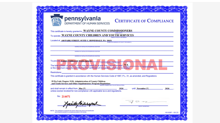 Wayne County Children & Youth Services downgraded to provisional ...