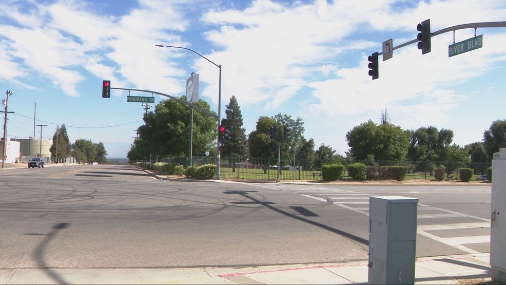 Woman in critical condition after hit-and-run and shot near Panorama Park