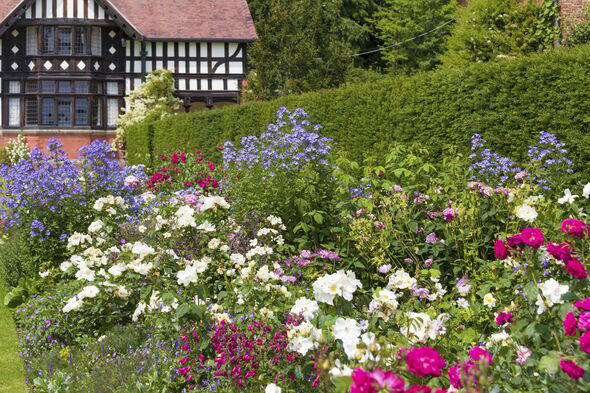 Alan Titchmarsh names four plants gardeners need to prune now 'before ...