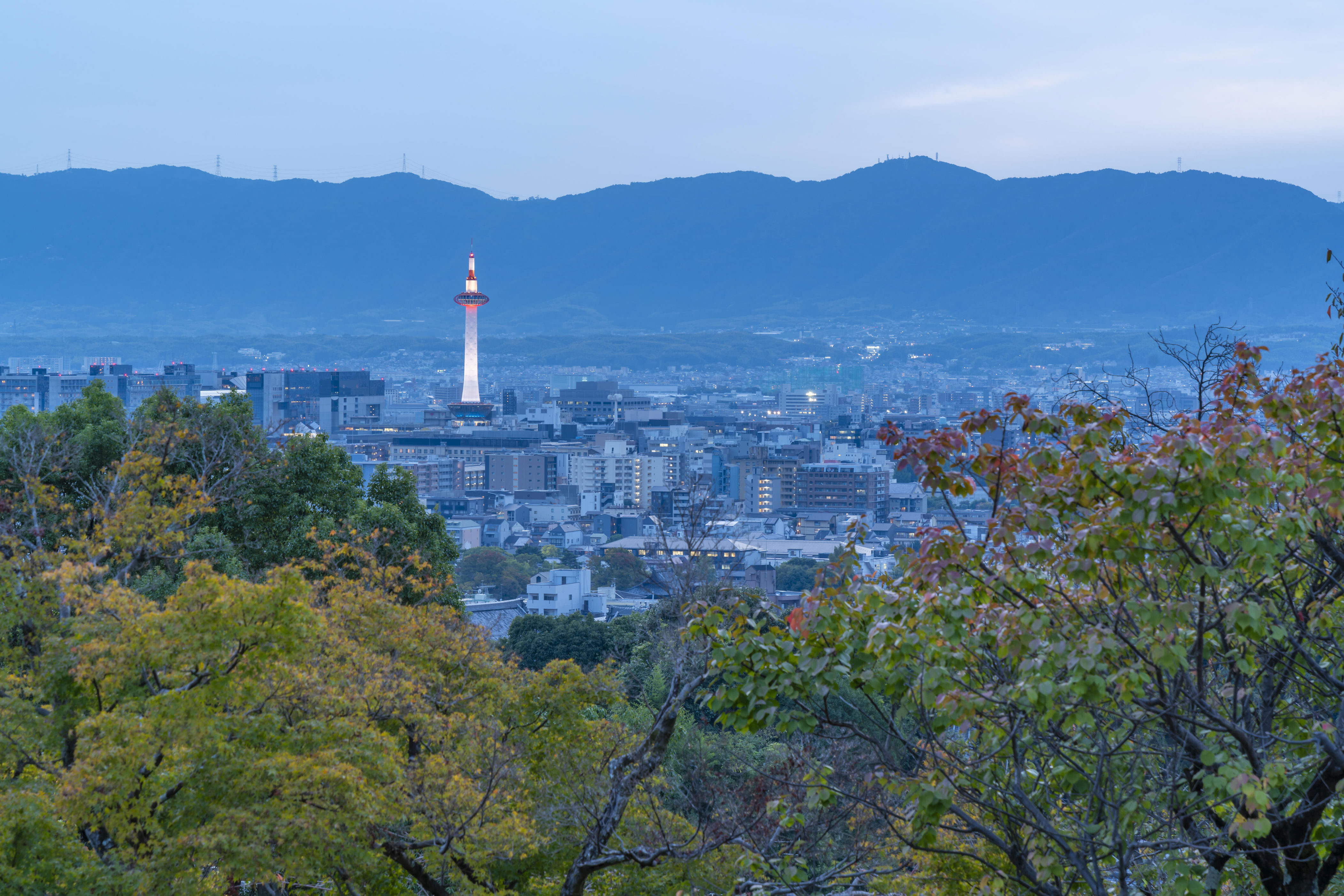 Amerikaanse student (20) dood aangetroffen tijdens familievakantie in Japan