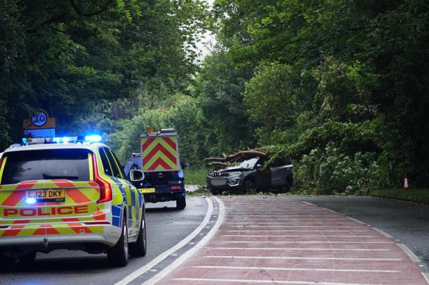 Woman left with potentially life changing injuries after tree falls on car