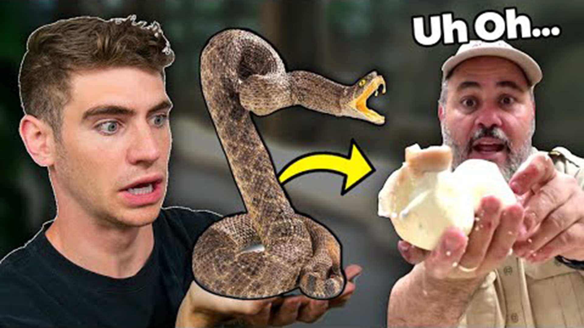 Don't steal snake eggs... scariest moment of my life