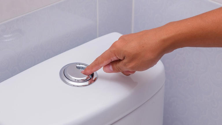 Lehúzni vagy sem? Ezért nem dobhatja a WC-papírt a csészébe a ...