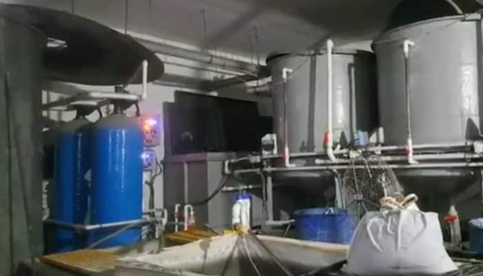 Four workers die after inhaling toxic gas during tank cleaning at ...