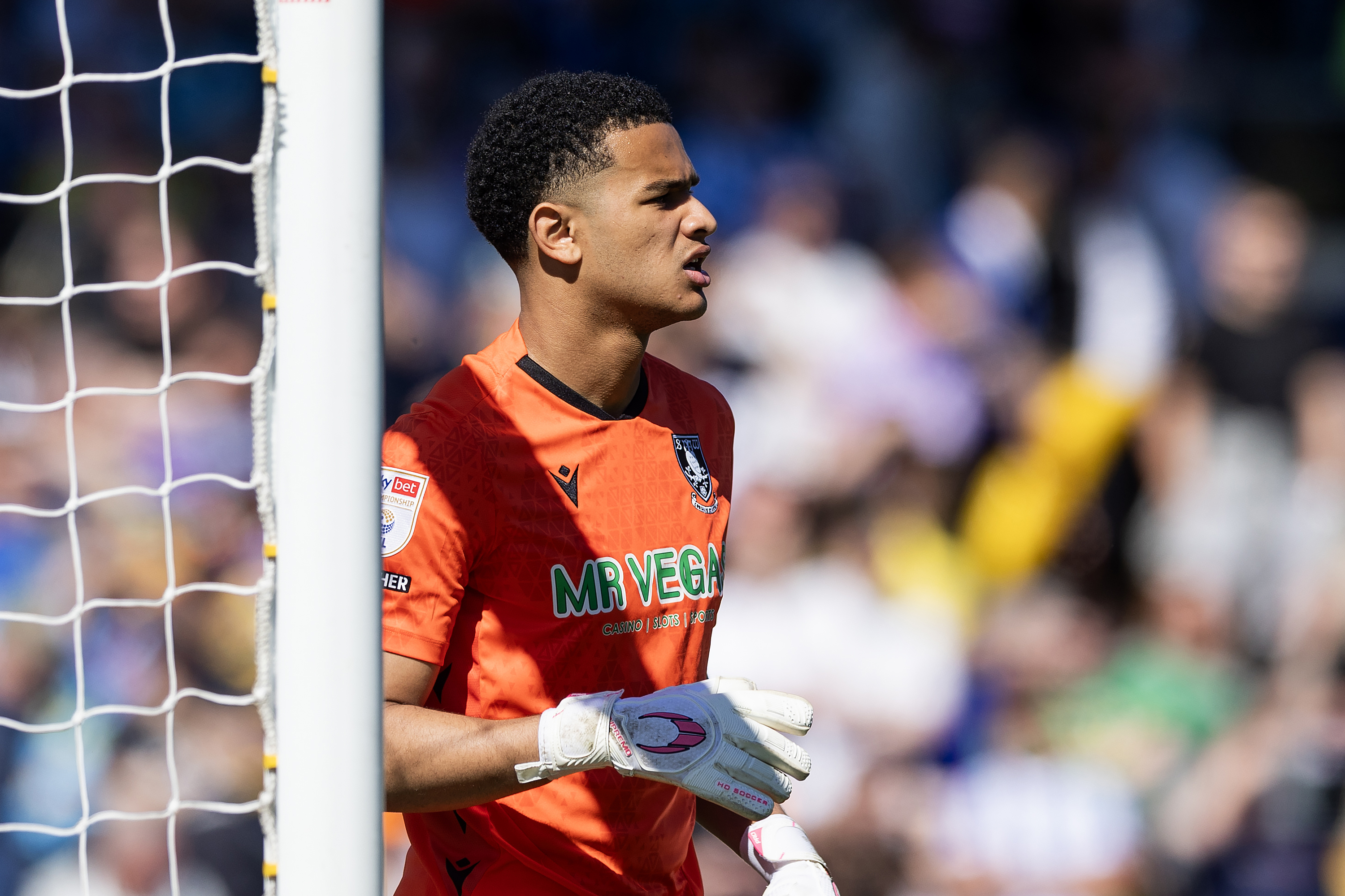 Sheffield Wednesday star Pierce Charles gives update on his future as ...