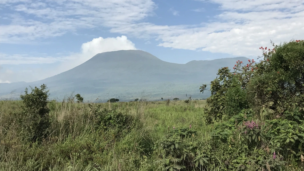 Report spotlights Africa's most unique ecosystems and species