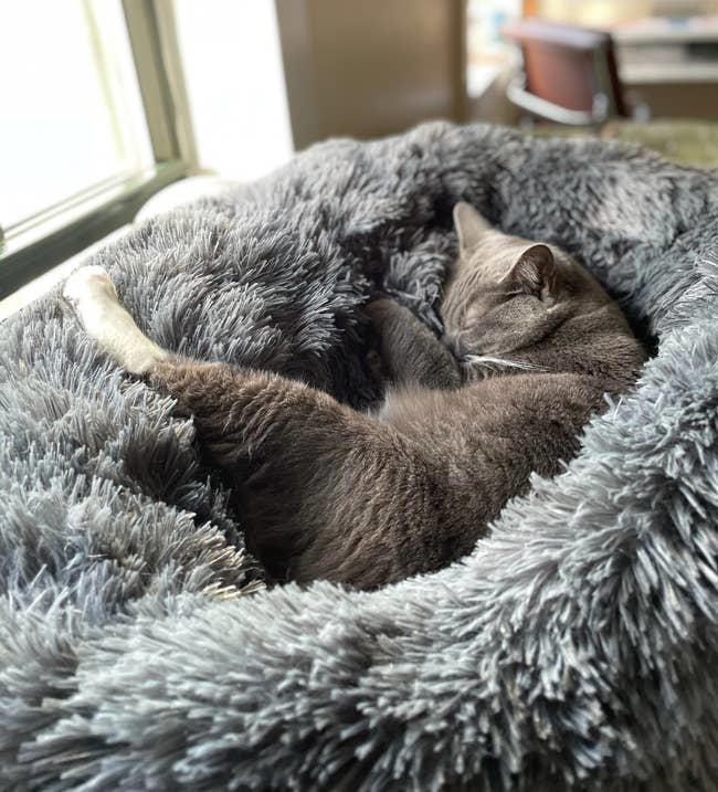 Just 32 fun products your cat called and told me they’d like you to buy ...