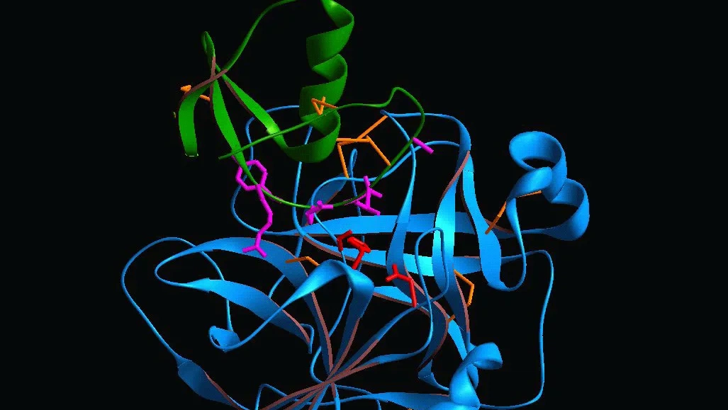 University of Arizona study challenges amino acid origin timeline