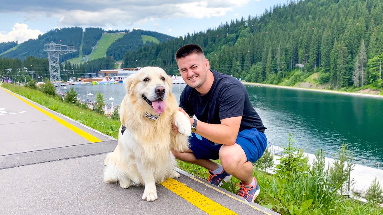 A golden retriever’s first mountain adventure
